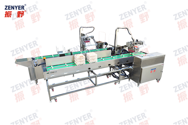 ZYS-ZK-J30 Automatic Egg Loader (615)