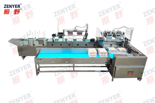 ZYS-ZK-2J30 Automatic Egg Loader (615A)