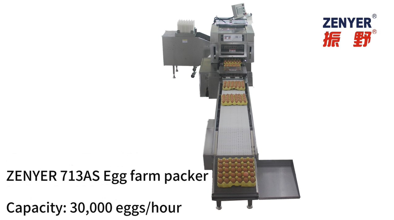 ZENYER FBE85 egg farm packer (713AS)