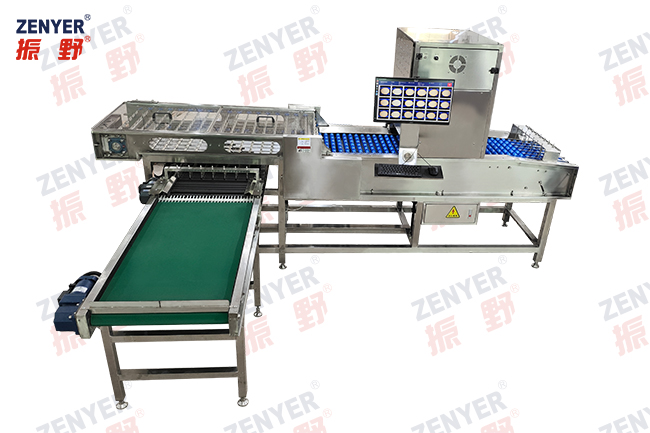 ZENYER Visual Shell Inspector