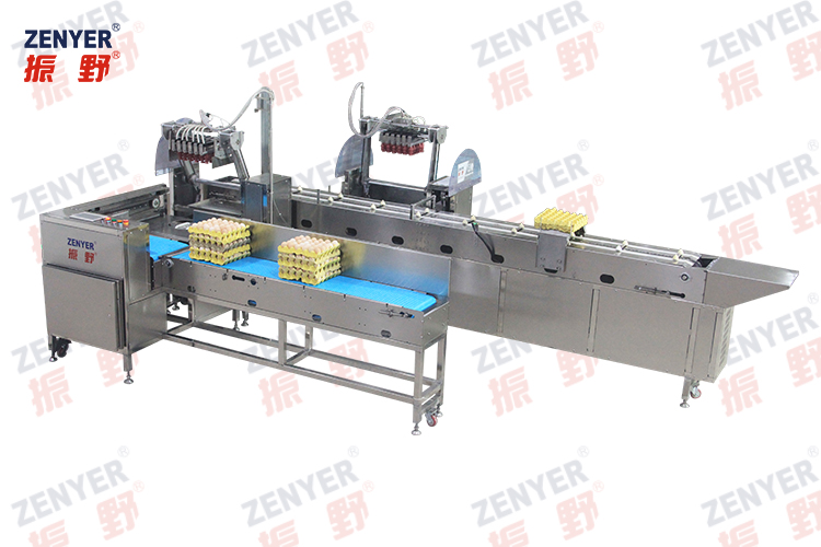 ZYS-ZK-J30 Automatic Egg Loader (615)